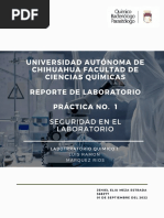 Pictogramas_Quimica_Final | PDF | Laboratorios | Corrosión