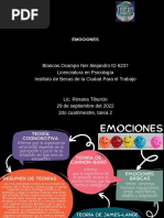 Organizador Grafico Emocion | PDF | Las emociones | Cerebro