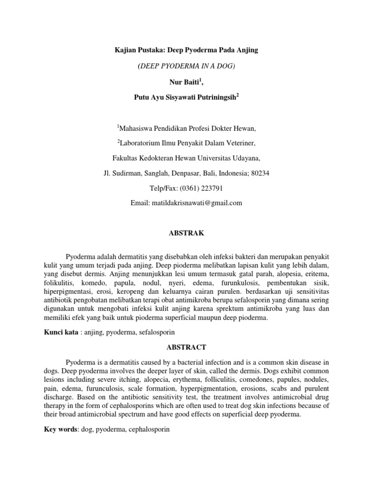 Kajian Pustaka Pyoderma Pdf