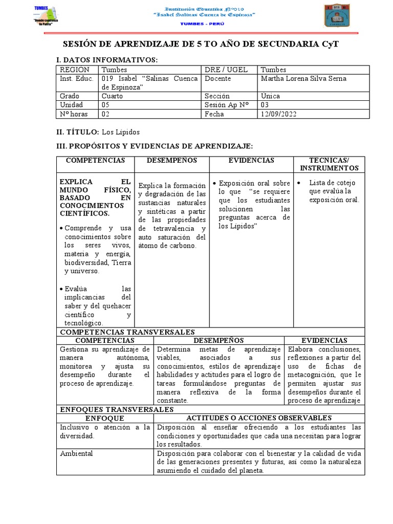 SESIÓN DE APRENDIZAJE DE 5 AÑO Diario Imprimir | PDF | Aprendizaje | Lípido SESIÓN DE APRENDIZAJE DE 5 AÑO Diario Imprimir | PDF | Aprendizaje | Lípido