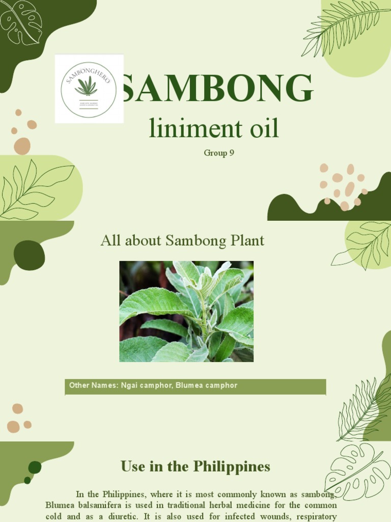 Herbalists Shop Business Plan | PDF | Medicine | Clinical Medicine