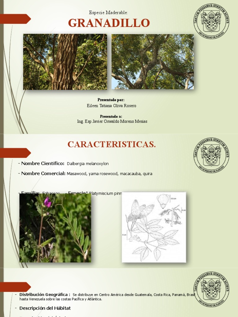 Granadillo - Oliva | PDF