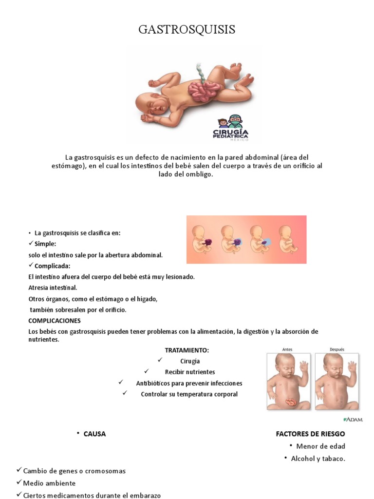 Enfermedades | PDF | Enfermedades y trastornos | Medicina