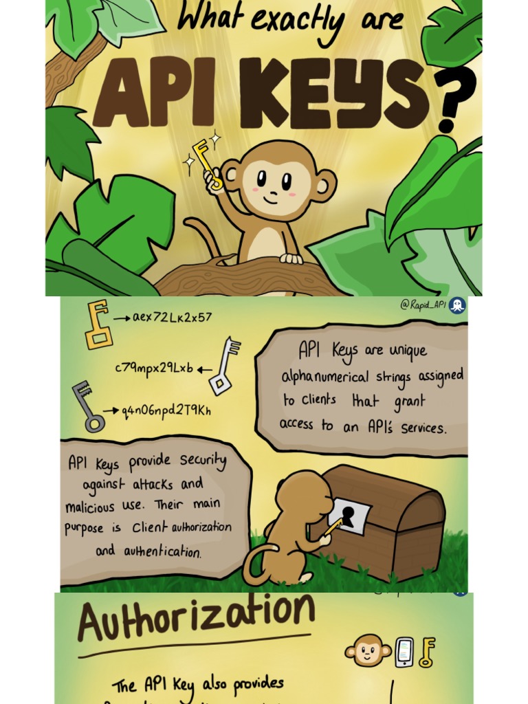 API Keys | PDF
