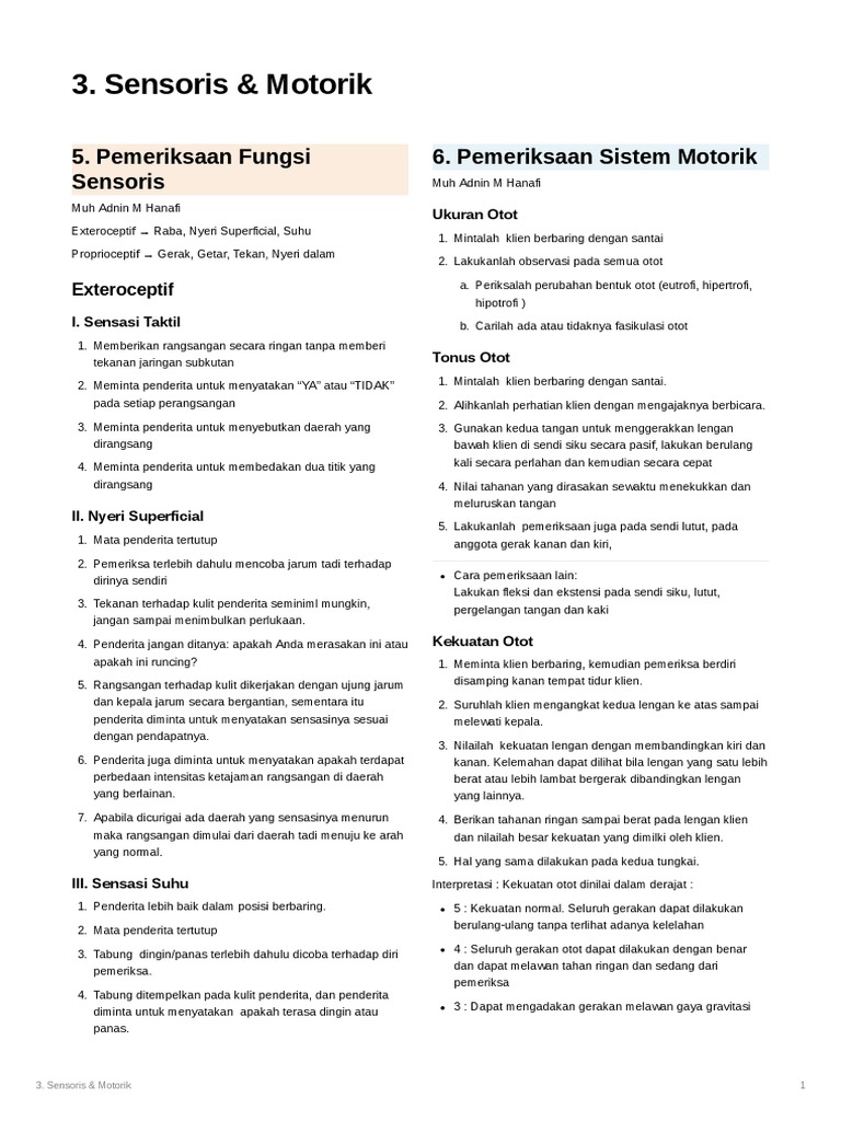 Sensorik & Motorik | PDF