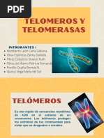 Chocolate Nestlé Almon Ris 12 Pzas 26 G Cu Walmart | PDF | Chocolate