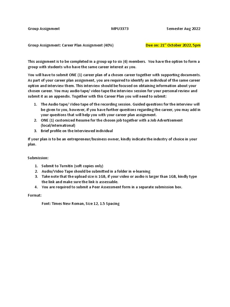 MPU3373 Group Assignment - Career Plan | PDF | Experience | Thought