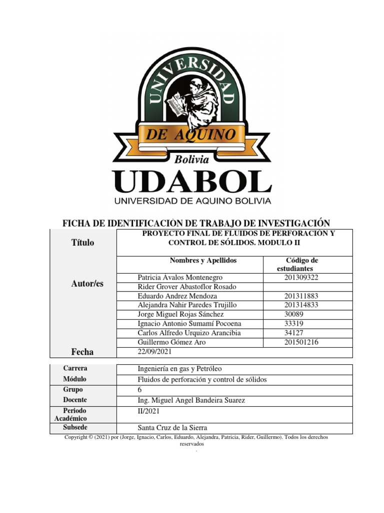 Proyecto Modulo 2 OficialPDF | PDF | Barro | Viscosidad