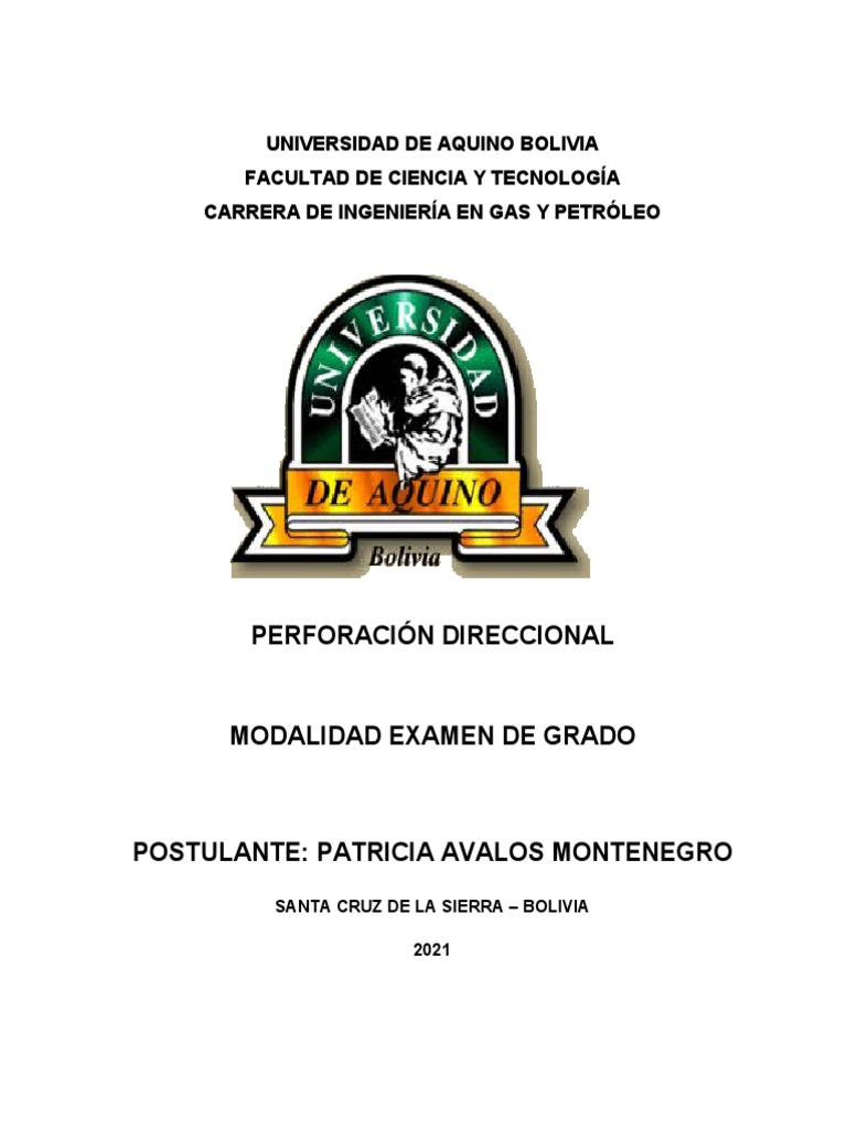 Borrador 2 Proyecto Examen de Grado | PDF