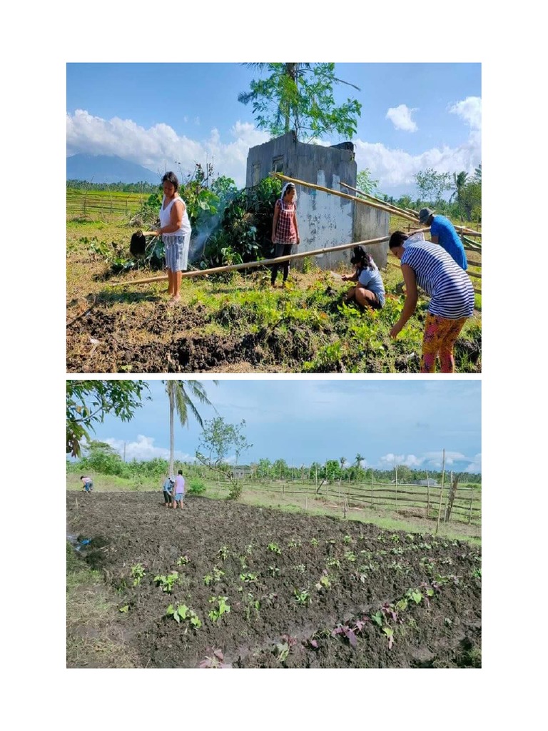 Cultivating The Soils | PDF