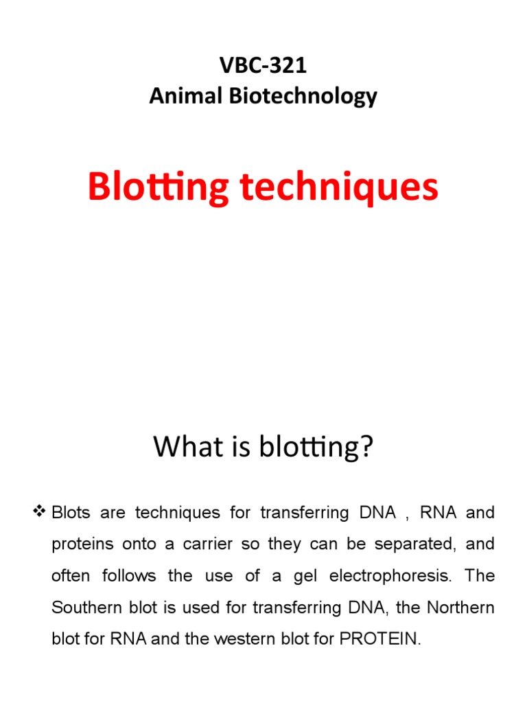 VBC-321 Blotting Techniques | PDF | Blot (Biology) | Gel Electrophoresis