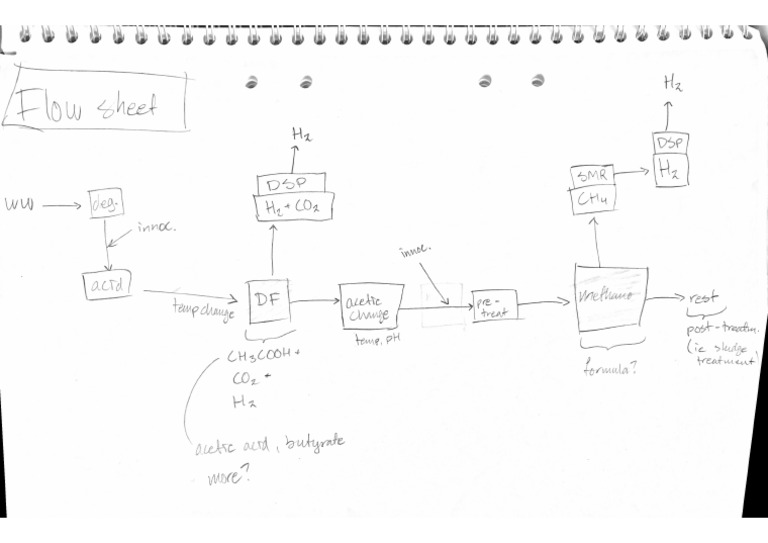 Example of H2 Flow Sheet | PDF