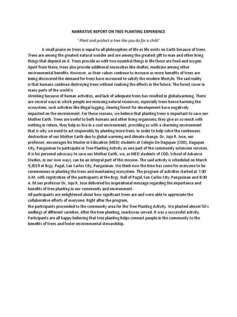 Narrative Report On Tree Planting Experience | PDF