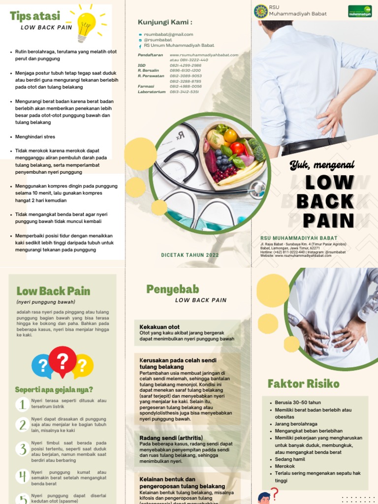 Leaflet Low Back Pain | PDF