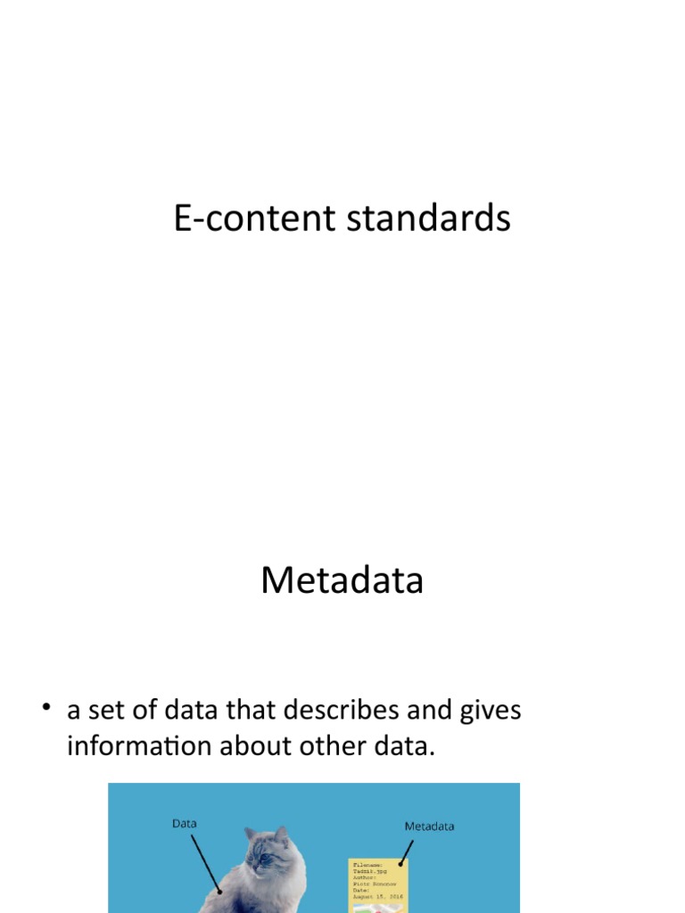 E Content Standards Pdf