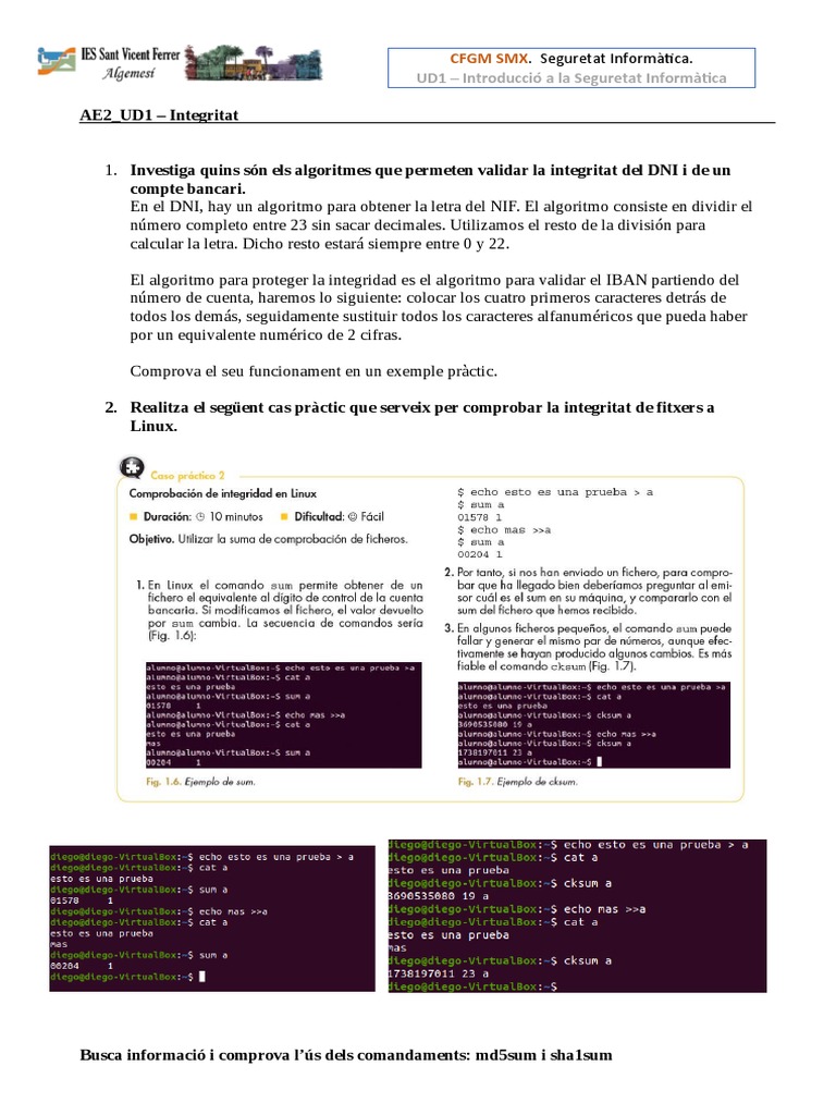 AE2 UD1-Integritat | PDF | Algoritmos | Programación de computadoras