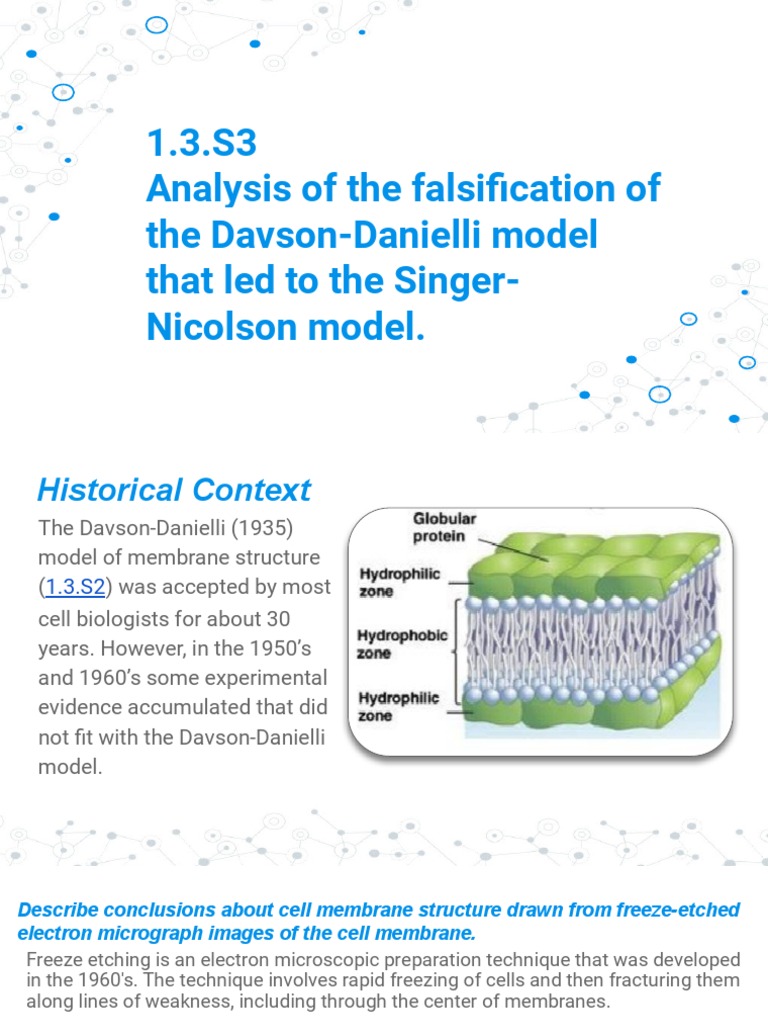 1.3.S3 Analysis of The Falsification of The Davson-Danielli Model That ...