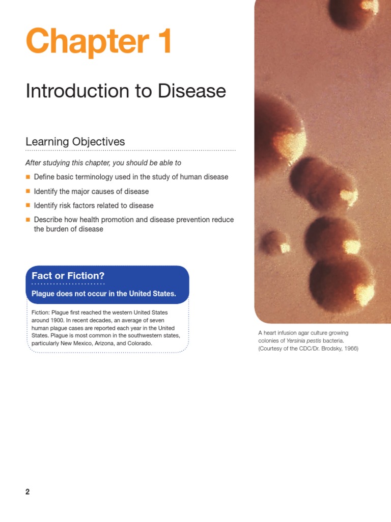 Understanding Disease Concepts | PDF | Medical Imaging | Radiology