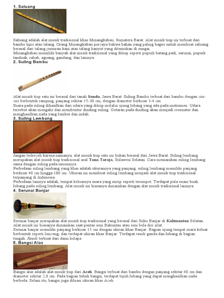 Alat Musik Beserta Asal Dan Fungsi | PDF