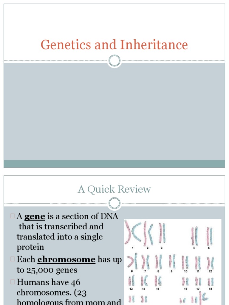 Genetic Inheritance Pdf – Genetics Book Pdf – ZAZFEE