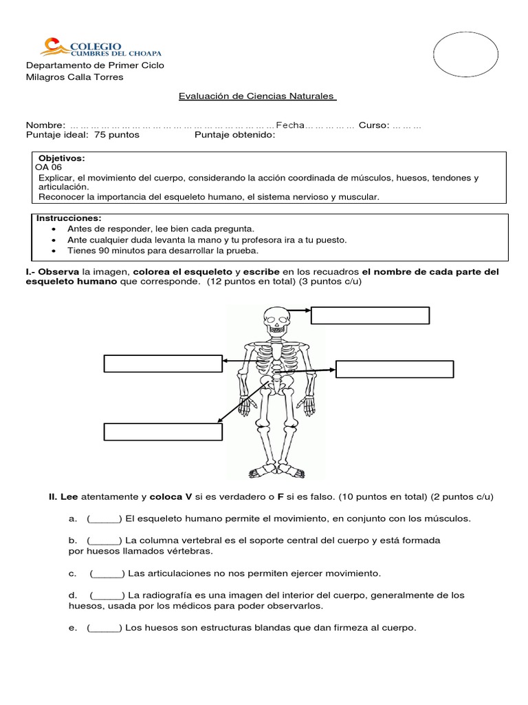 Evaluación Del Cuerpo Humano Cuarto Básico 32 Copias | PDF | Músculo ...