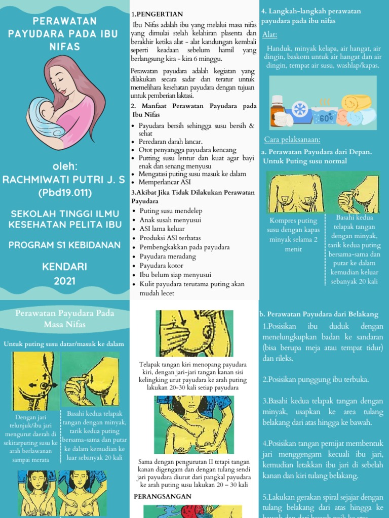 Leaflet Menyusui | PDF