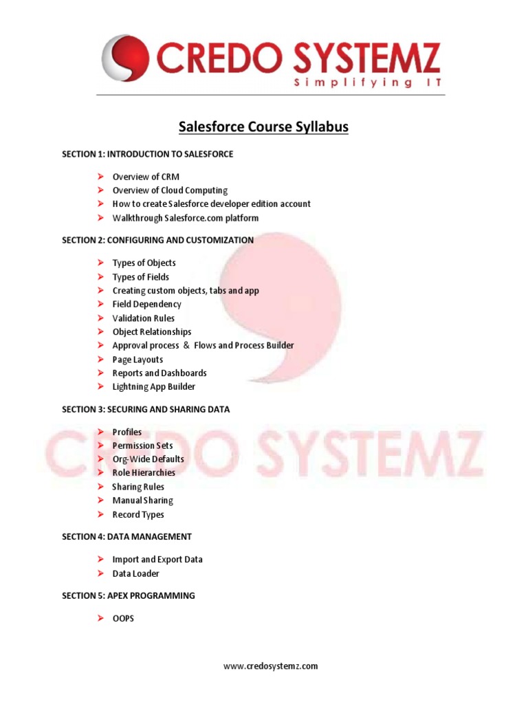 Salesforce Course Syllabus | PDF