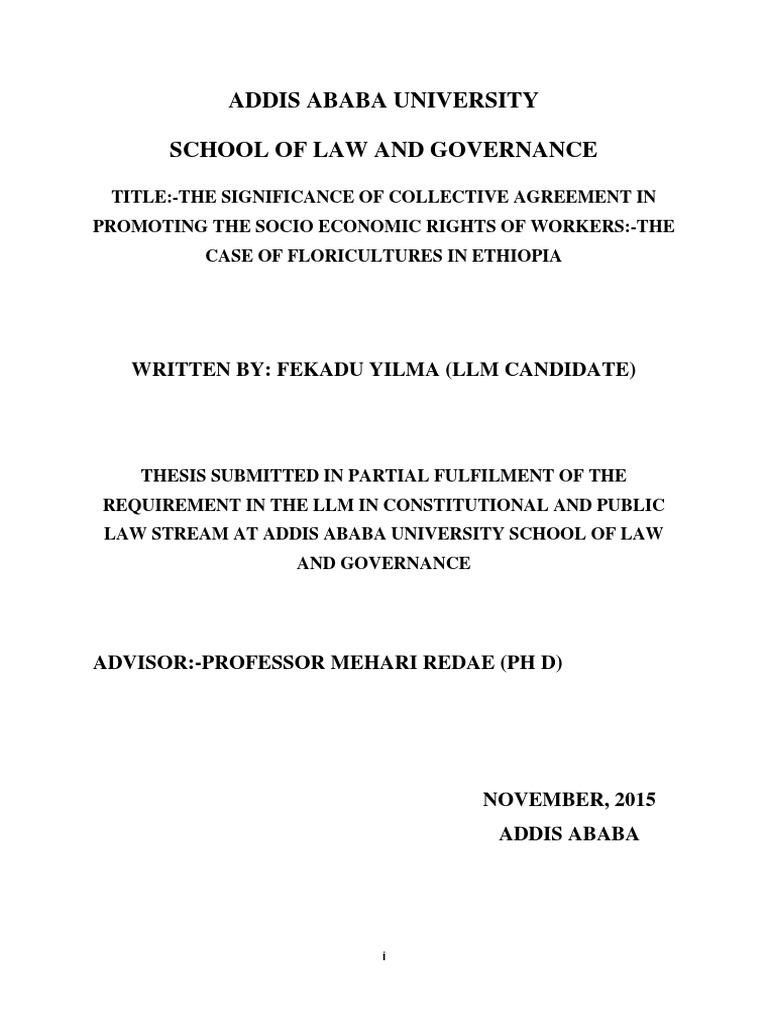 Addis Ababa University | PDF | Human Rights | Labour Law