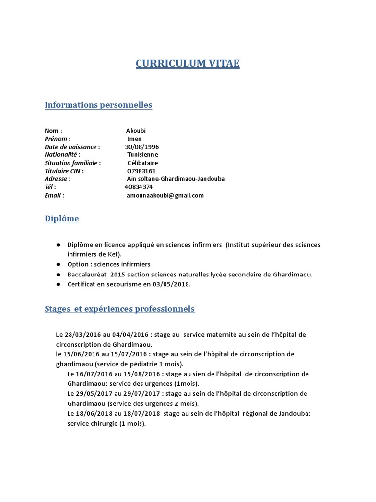CV Imen | PDF