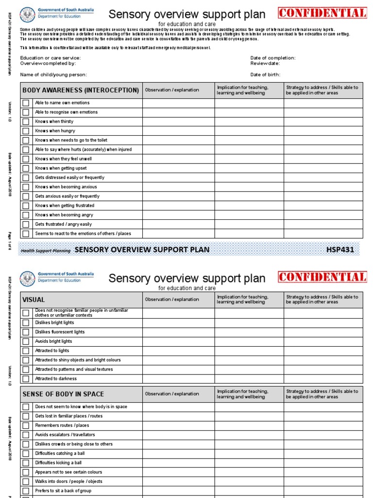 Sensory Overview Support Plan | PDF | Perception | Learning