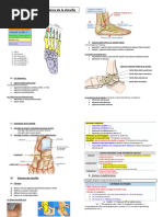Chapitre 2 - Diagnostic D - Une Monoarthrite | PDF | Arthrose ...