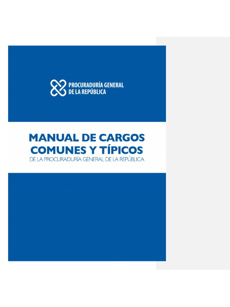 Manual de Cargos PGR 3era. Versión 10-08-2020 CORREGIDO 12-08-2020 | PDF