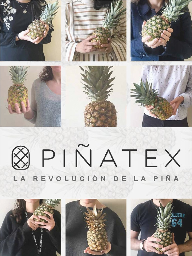 PIÑATEX La Revolución de La Piña | PDF