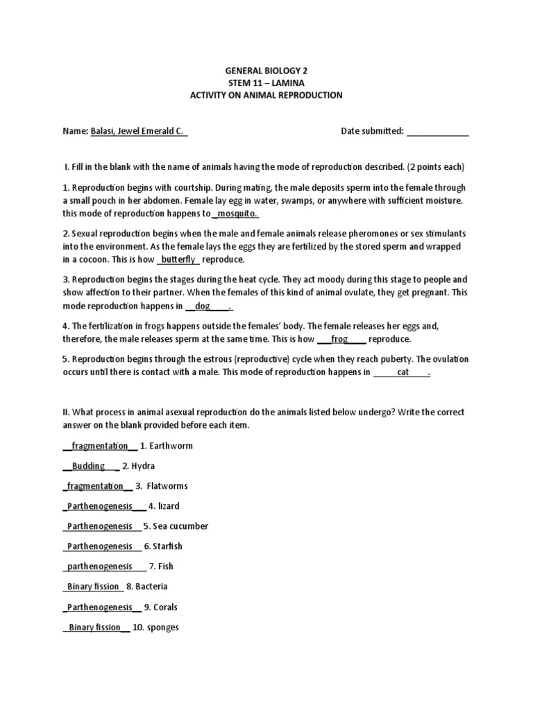 Activity On Animal Reproduction | PDF