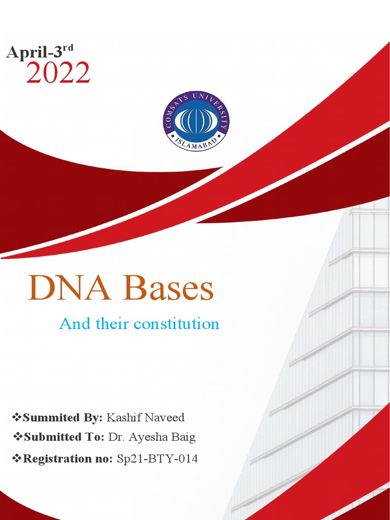 Assignment 1 Pdf