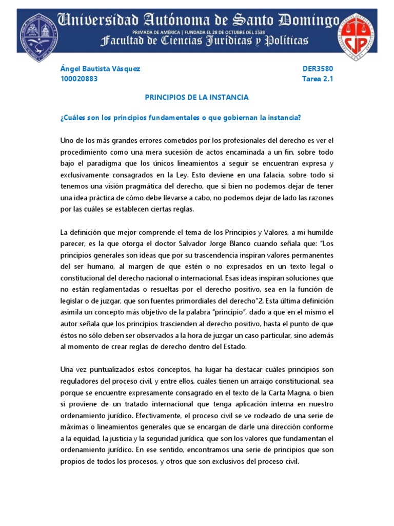 Principios de La Instancia | PDF | Ley procesal | Constitución
