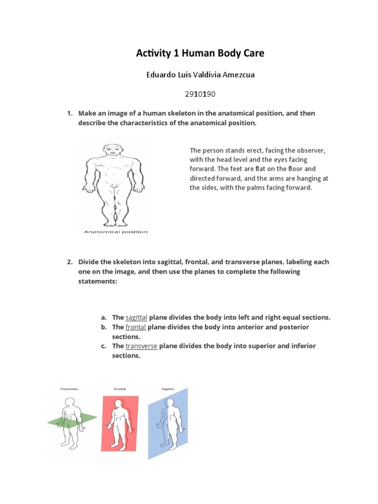 Activity 1 Human Body Care | PDF | Anatomical Terms Of Location ...