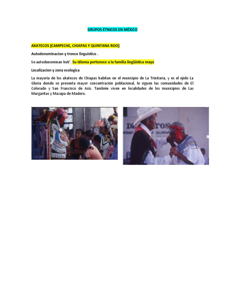 Grupos Étnicos de México: 62 Diversidades | PDF | Pueblos Indígenas de ...