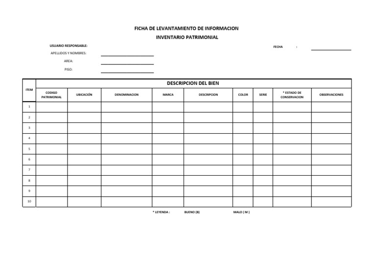 Ficha de Levantamiento de Informacion | PDF