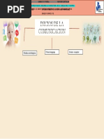 Mapa Conceptual 6 | PDF