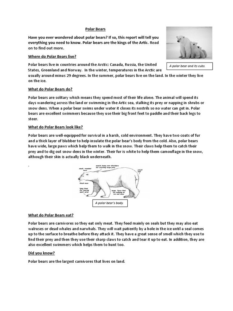 Polar Bears: Kings of the Arctic in 40 Characters | PDF