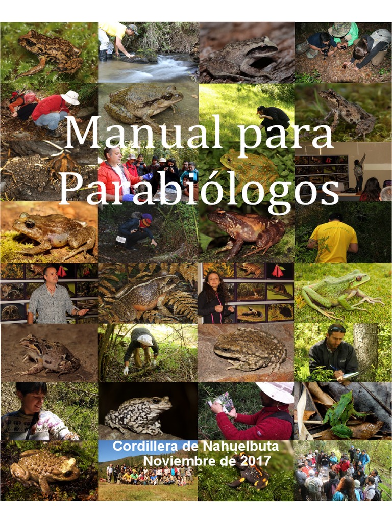Manual-para-Parabiologos-FINAL-Horacio | PDF | Anfibio | Rana