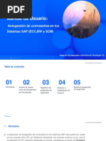 Guía Rápida: Cambiar Idioma en SAP | PDF | Soporte técnico | Usuario ...