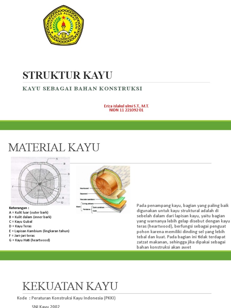 Struktur Kayu 2 | PDF