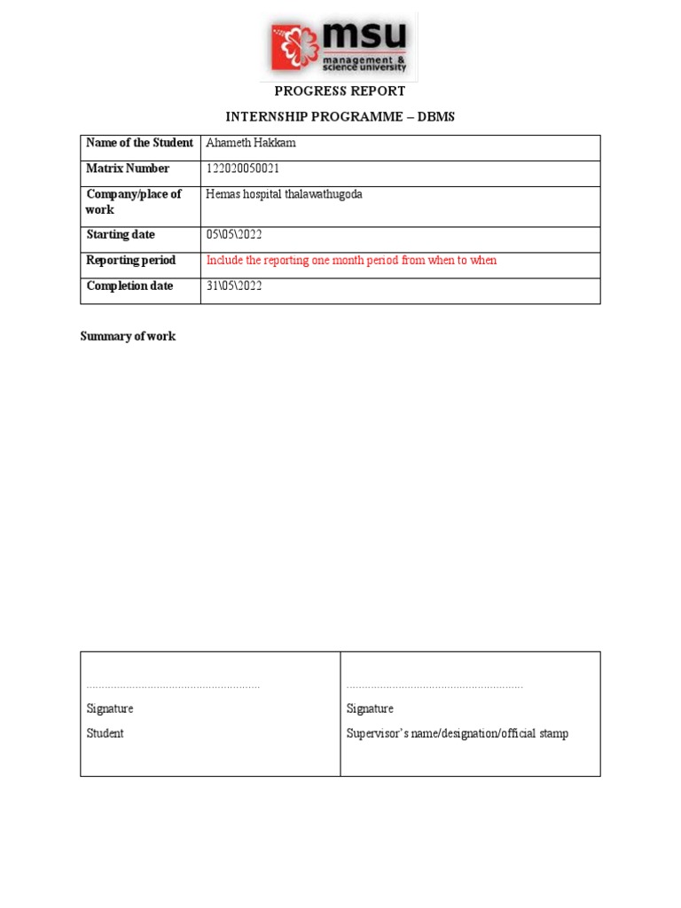 DBMS Internship Progress Report | PDF