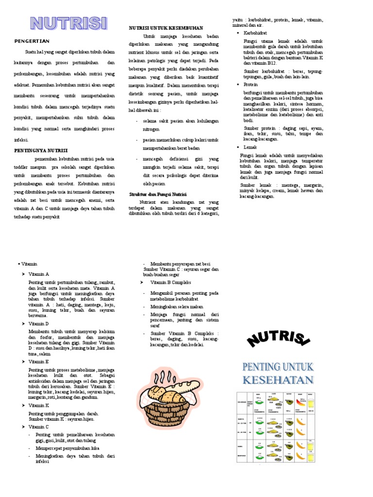 Leaflet Nutrisi | PDF