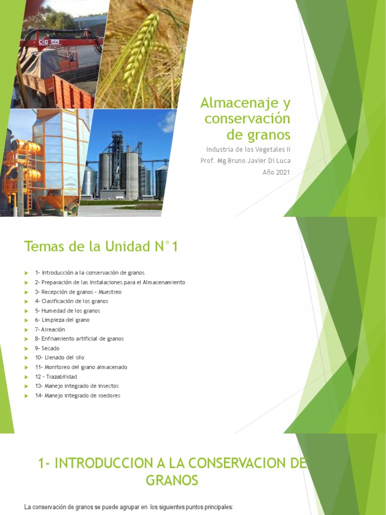 1 - Almacenaje y Conservacion de Granos | PDF | Cereales | Insectos