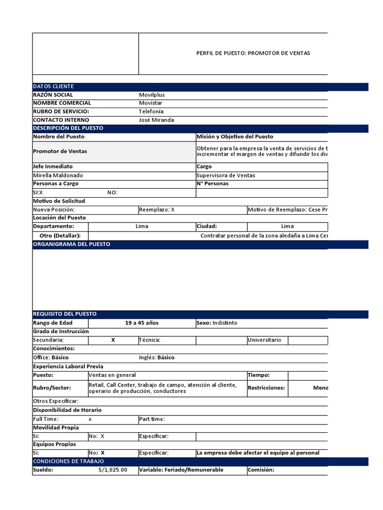 Perfil de Puesto - S8 | PDF