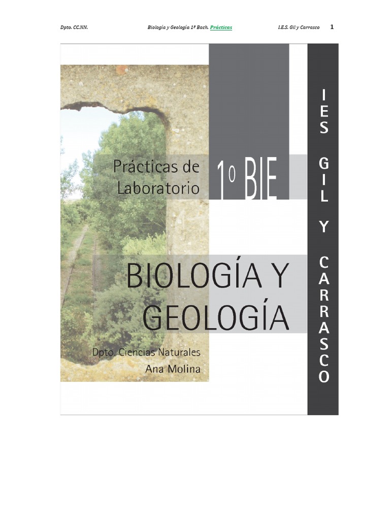 Prácticas BG 1-3 Eval | PDF | Leucocito | Hoja