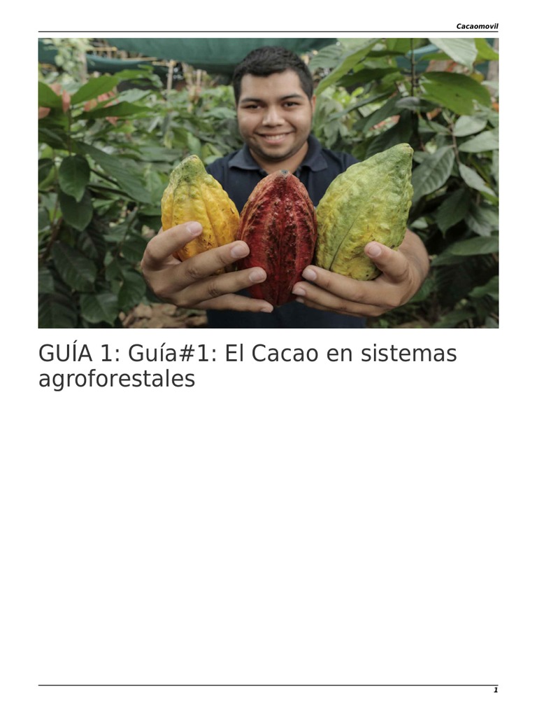 Guía#1-El Cacao en Sistemas Agroforestales | PDF